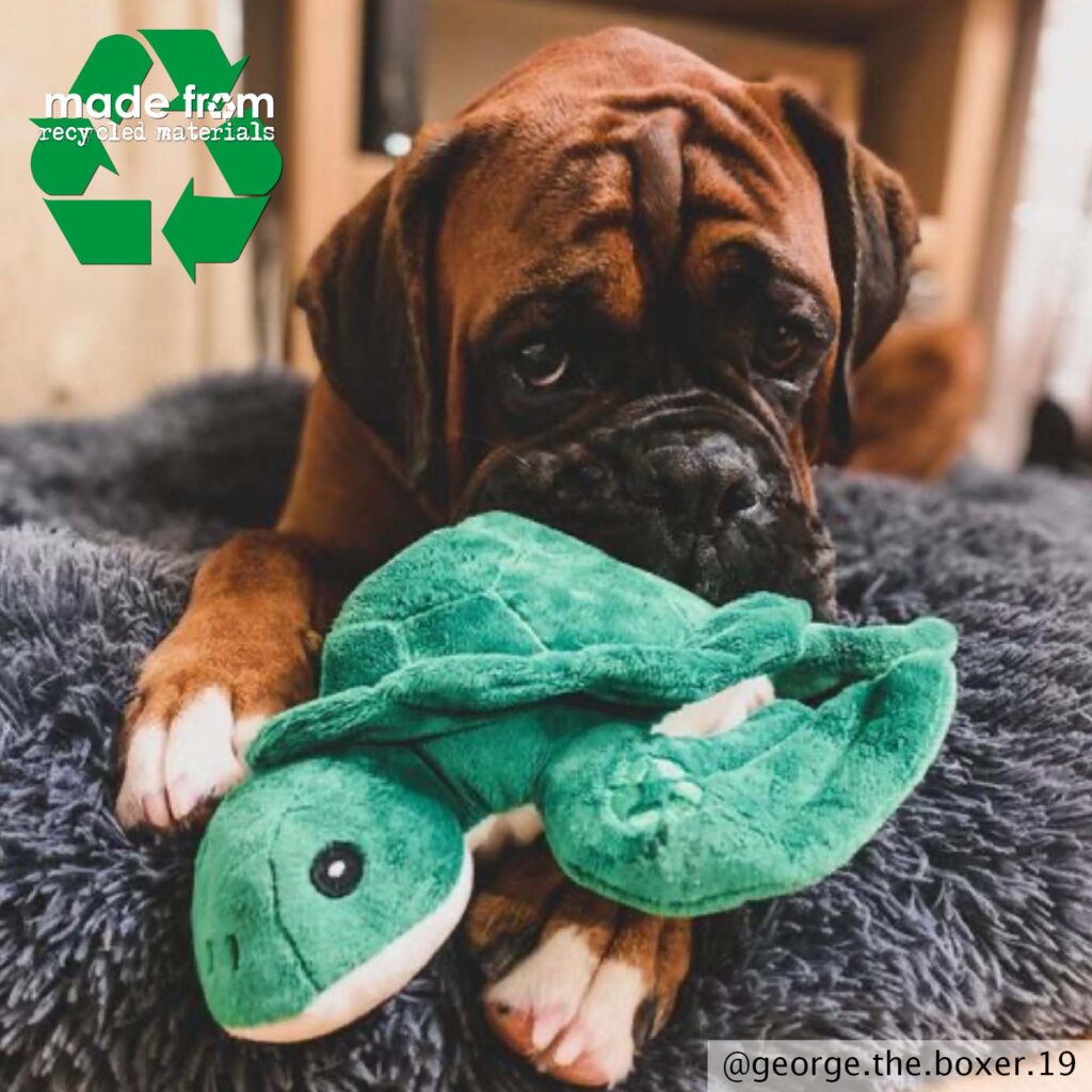 Ancol ‘Made From’ Turtle Dog Toy - The Lancashire Dog Company