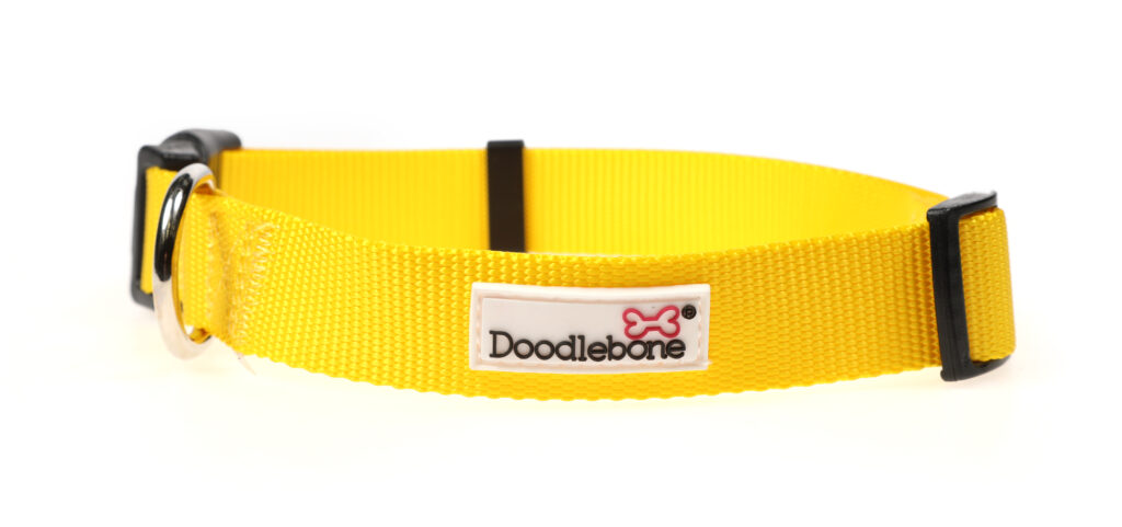 * New * Doodlebone Originals Dog Collar - Yellow - The Lancashire Dog ...